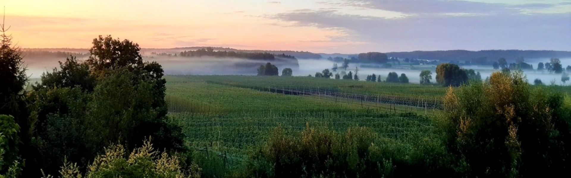 Bürgerring Geisenfeld: 25 Jahre Erfolg - Stadt und ...